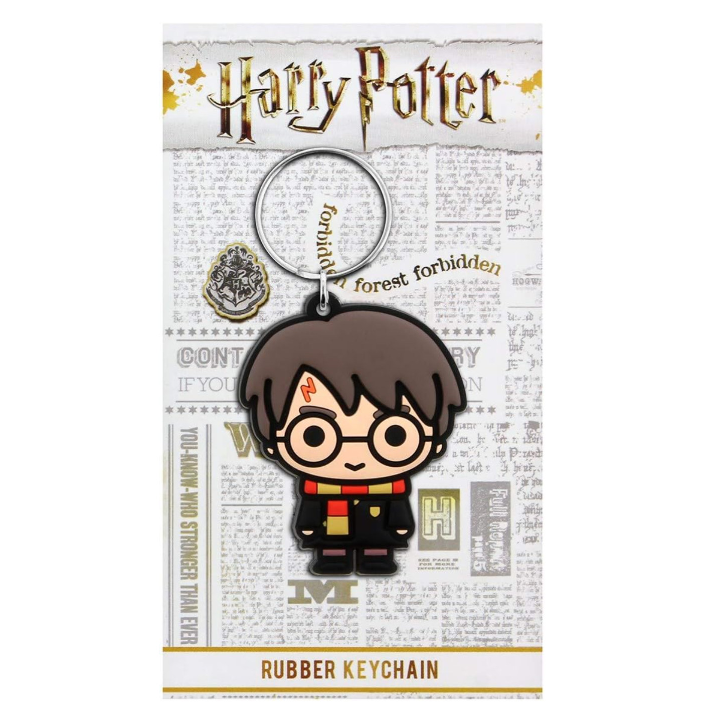 PORTE-CLÉ EN PVC HARRY POTTER - HARRY POTTER | La Commère Magasin Général